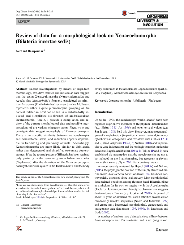 (PDF) Review of data for a morphological look on Xenacoelomorpha ...