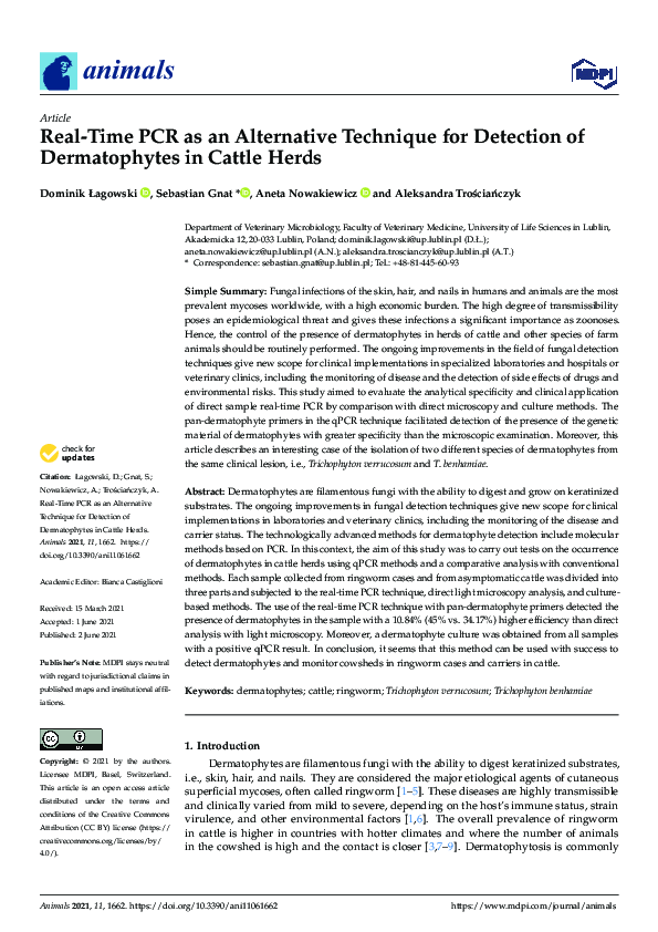 (PDF) Real-Time PCR as an Alternative Technique for Detection of ...