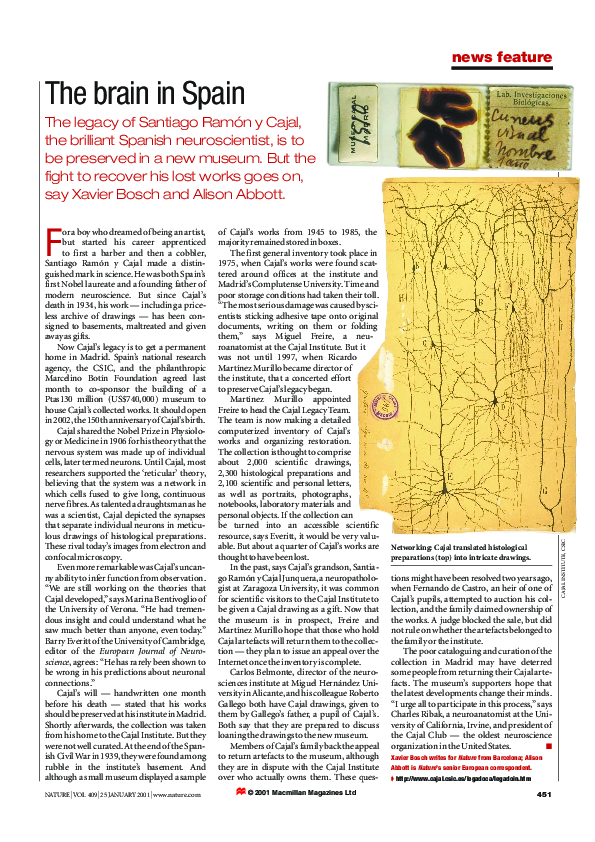 (PDF) The brain in Spain