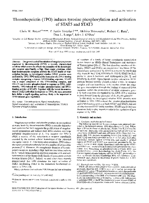 (PDF) Thrombopoietin (TPO) induces tyrosine phosphorylation and ...