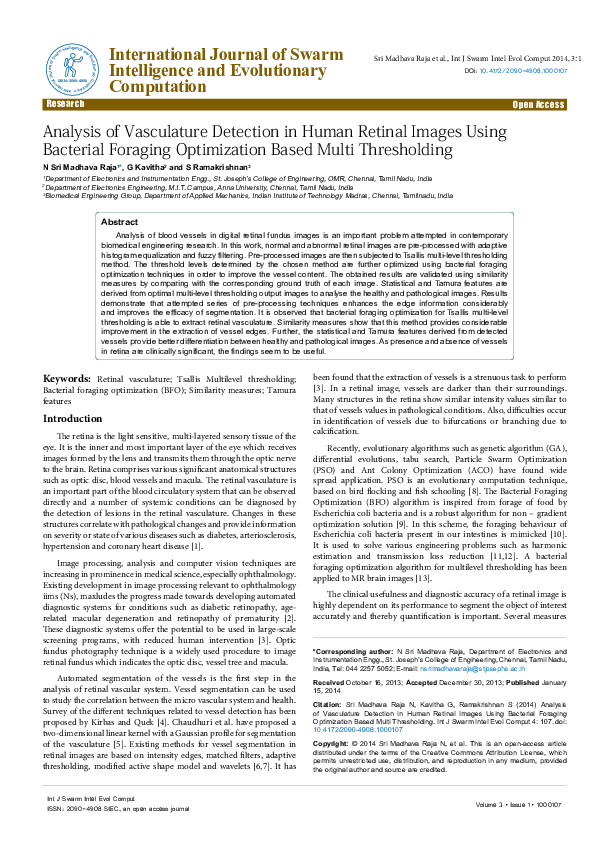 (PDF) Analysis of Vasculature in Human Retinal Images Using Particle ...