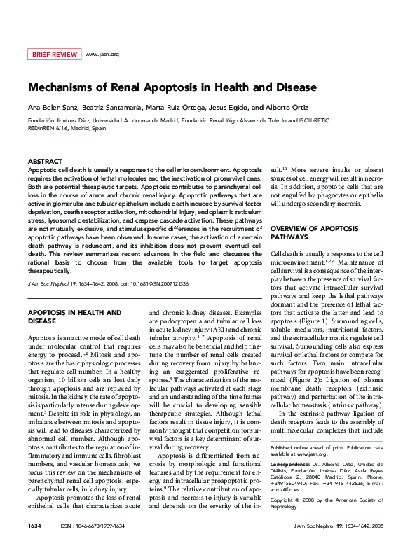 (PDF) Mechanisms of Renal Apoptosis in Health and Disease | Jesus Egido ...