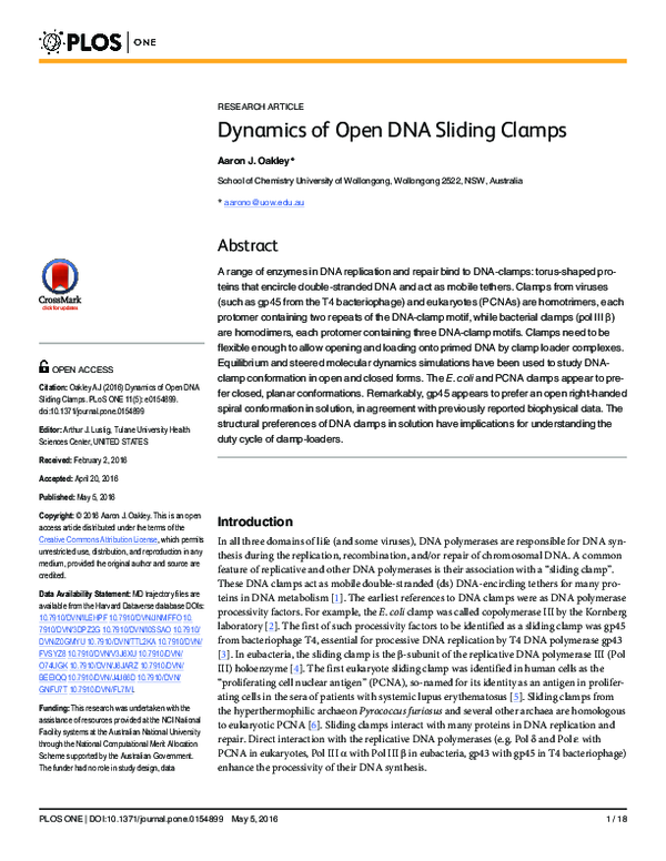 (PDF) Dynamics of Open DNA Sliding Clamps