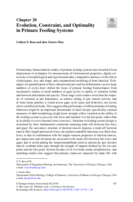 (PDF) Evolution, Constraint, and Optimality in Primate Feeding Systems