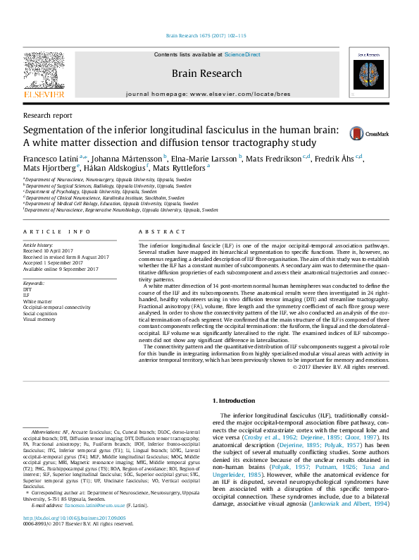 (PDF) Segmentation of the inferior longitudinal fasciculus in the human ...