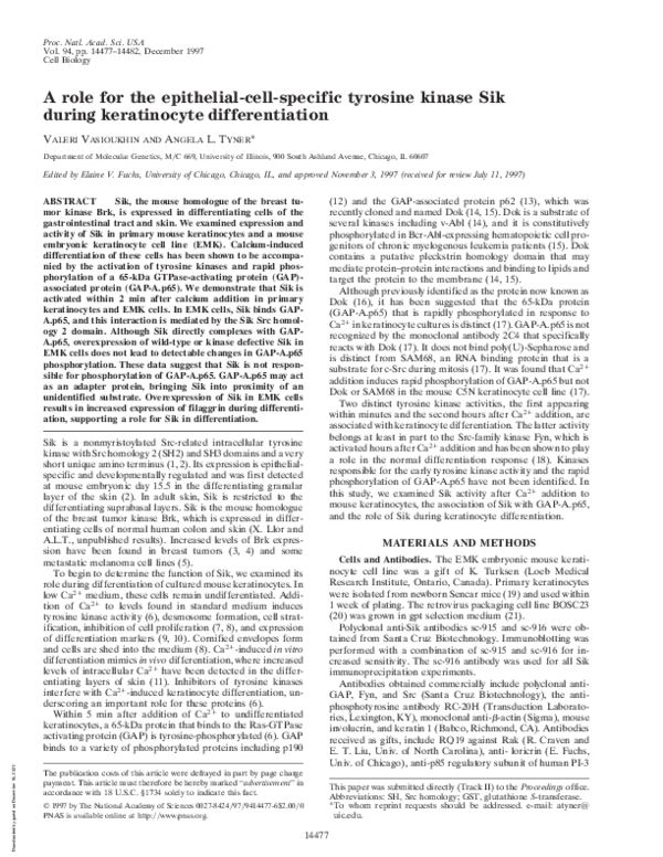 (PDF) A role for the epithelial-cell-specific tyrosine kinase Sik ...