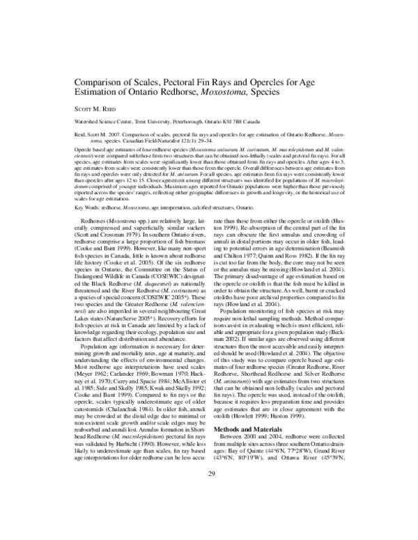 (PDF) Comparison of Scales, Pectoral Fin Rays and Opercles for Age ...