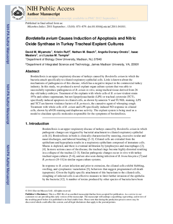 (PDF) Bordetella avium causes induction of apoptosis and nitric oxide ...
