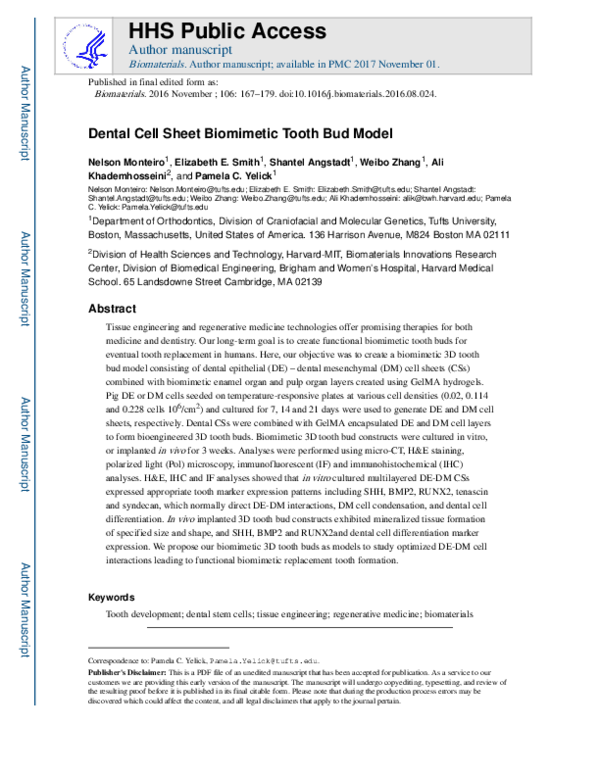 (PDF) Dental cell sheet biomimetic tooth bud model