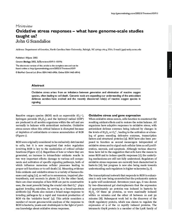 (PDF) Oxidative stress responses - what have genome-scale studies ...