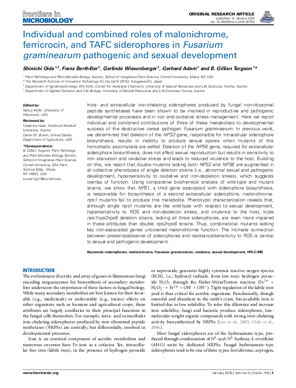 (PDF) Individual and combined roles of malonichrome, ferricrocin, and ...