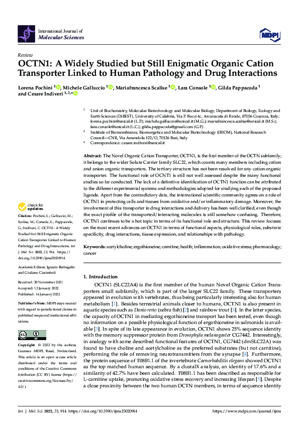 (PDF) OCTN1: A Widely Studied but Still Enigmatic Organic Cation ...