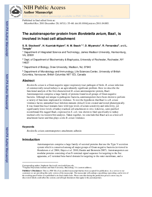 (PDF) The autotransporter protein from Bordetella avium, Baa1, is ...