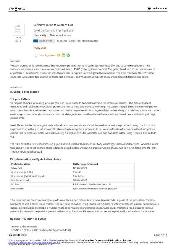 10x Tbst Recipe Cold Spring Harbor | Bryont Blog