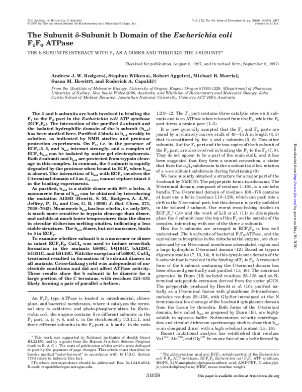 (PDF) The Subunit delta -Subunit b Domain of the Escherichia coli F1F0 ...