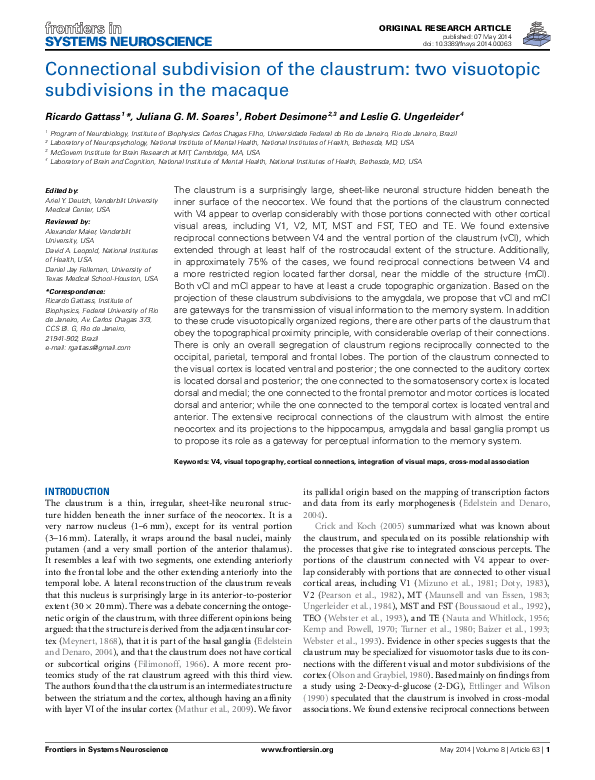 (PDF) Connectional subdivision of the claustrum: two visuotopic ...