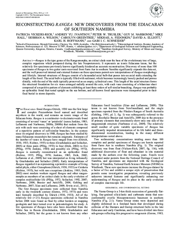 (PDF) Reconstructing Rangea : New Discoveries from the Ediacaran of ...