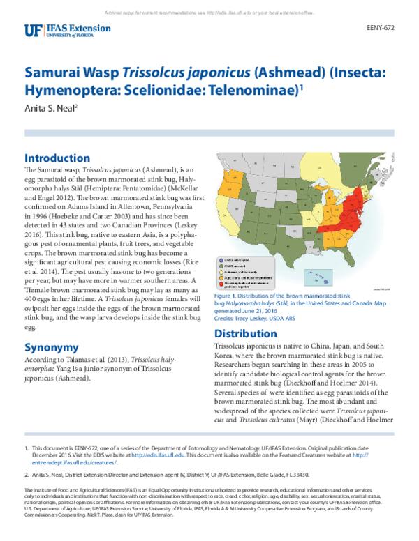 (PDF) Samurai Wasp Trissolcus japonicus (Ashmead) (Insecta: Hymenoptera ...