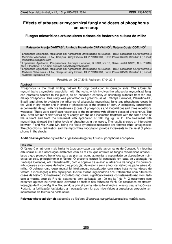 (PDF) Spinal nephroblastoma in a crossbreed dog