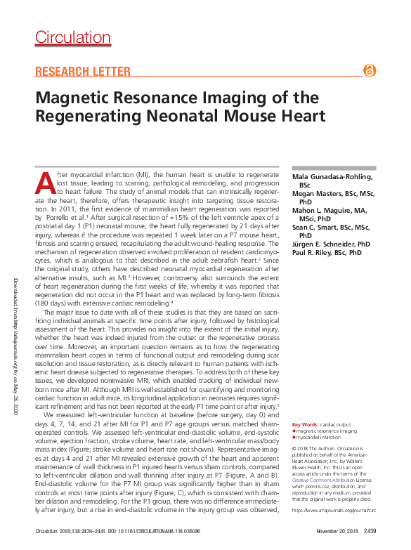 (PDF) Magnetic Resonance Imaging of the Regenerating Neonatal Mouse Heart