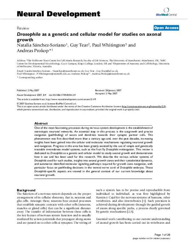(PDF) Neural Development BioMed Central Review