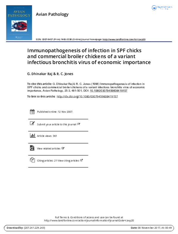 (PDF) Immunopathogenesis of infection in SPF chicks and commercial ...
