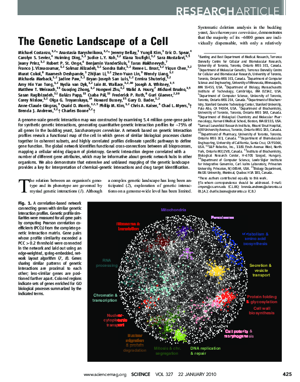 (PDF) The Genetic Landscape of a Cell