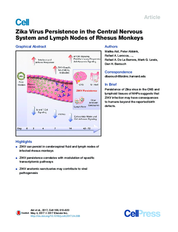 (PDF) Zika Virus Persistence in the Central Nervous System and Lymph ...