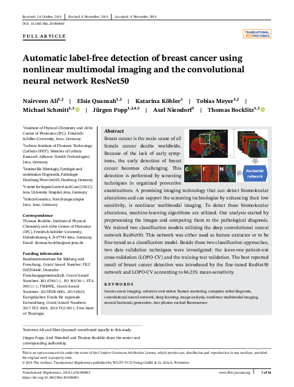 (PDF) Automatic Label‐free Detection of Breast Cancer Using Nonlinear ...