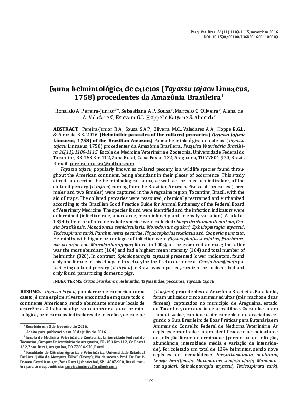 (PDF) Myth, Fiction and Displacement on Northrop Frye