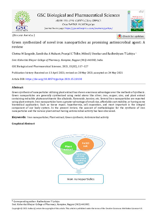 (PDF) Green synthesized of novel iron nanoparticles as promising ...
