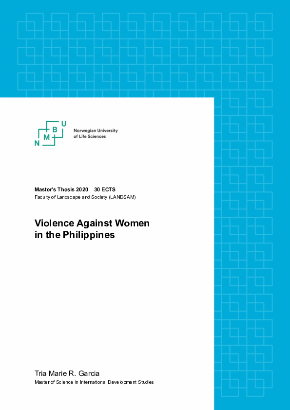 (PDF) Violence against Women and their Children Incident Report: Data ...