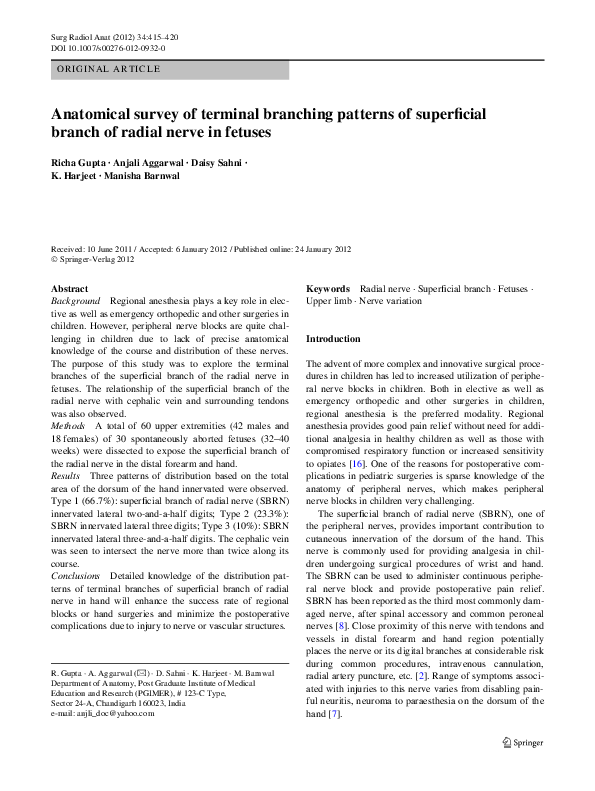 (PDF) Anatomical survey of terminal branching patterns of superficial ...