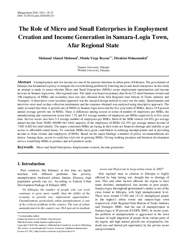 (PDF) The Role of Micro and Small Enterprises in Employment Creation ...