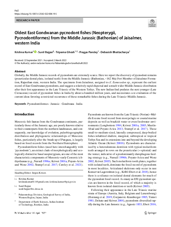 (PDF) Oldest East Gondwanan pycnodont fishes (Neopterygii ...