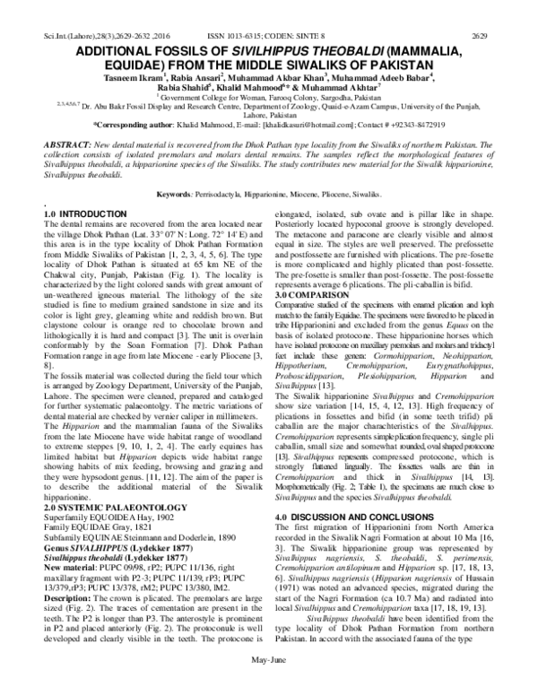 (PDF) ADDITIONAL FOSSILS OF SIVILHIPPUS THEOBALDI (MAMMALIA, EQUIDAE ...