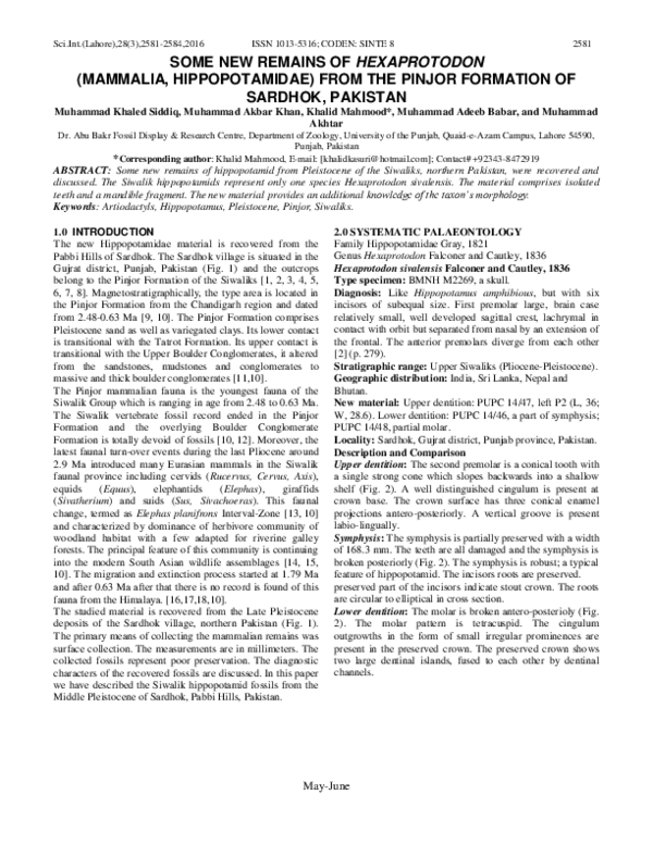(PDF) SOME NEW REMAINS OF HEXAPROTODON (MAMMALIA, HIPPOPOTAMIDAE) FROM ...
