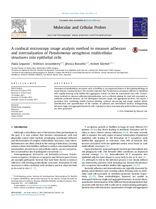 (PDF) A confocal microscopy image analysis method to measure adhesion ...