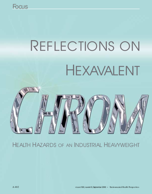 (PDF) Reflections on Hexavalent Chromium: Health Hazards of an ...