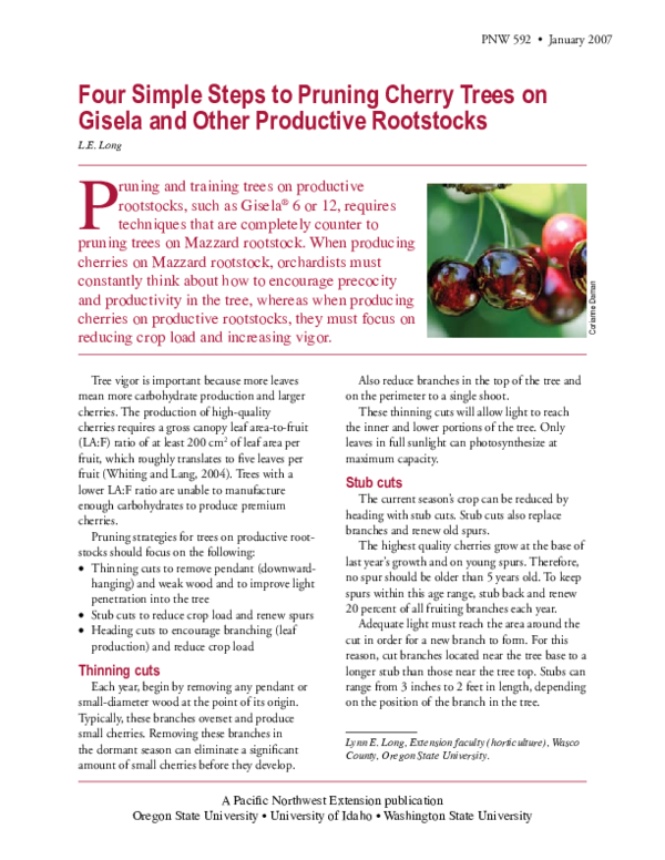 (PDF) Four simple steps to pruning cherry trees on Gisela and other ...