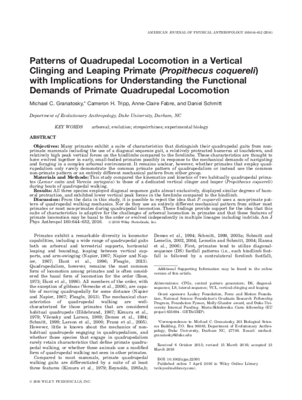 (PDF) Patterns of quadrupedal locomotion in a vertical clinging and ...