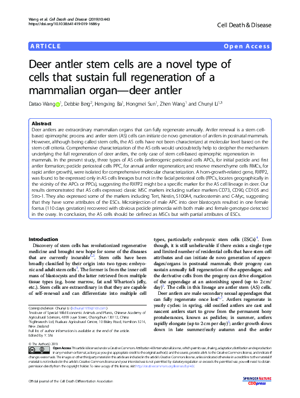 (PDF) Deer antler stem cells are a novel type of cells that sustain ...