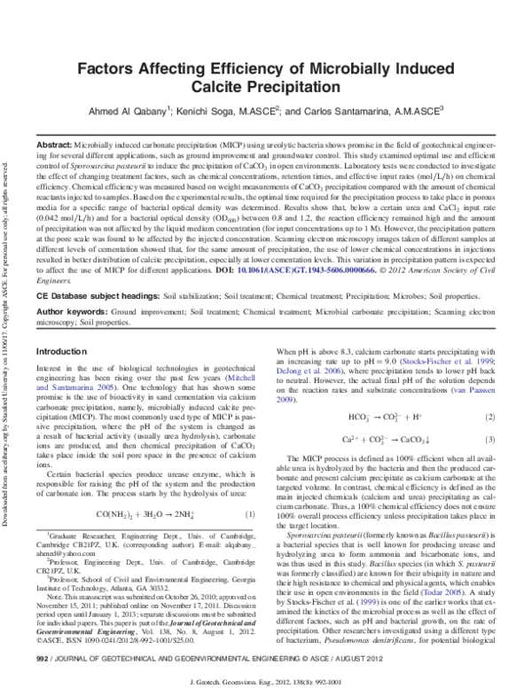 (PDF) Factors Affecting Efficiency of Microbially Induced Calcite ...