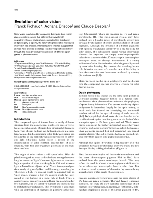 (PDF) Evolution of color vision