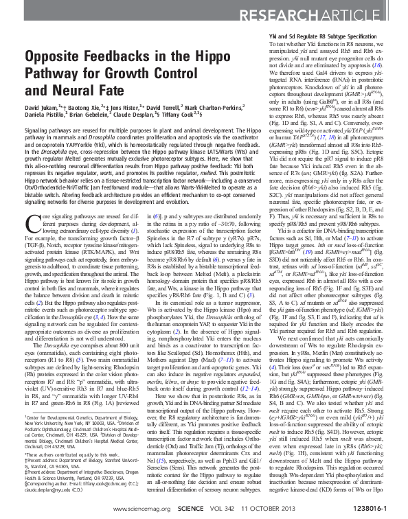 (PDF) Opposite Feedbacks in the Hippo Pathway for Growth Control and ...