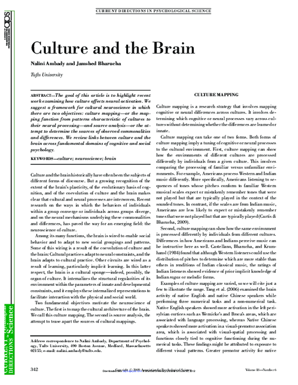 (PDF) Culture and the Brain