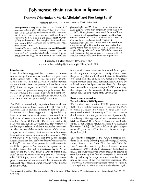 (PDF) Polymerase chain reaction in liposomes