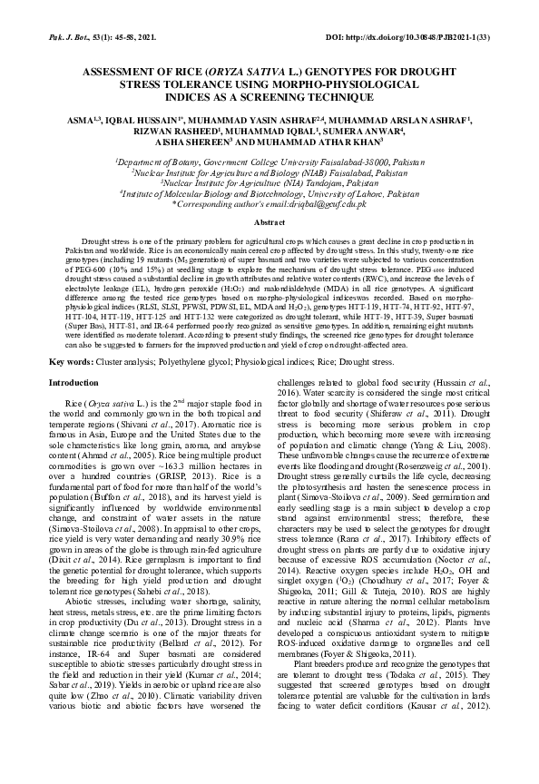 (PDF) Assessment of rice (Oryza sativa L.) genotypes for drought stress tolerance using morpho ...