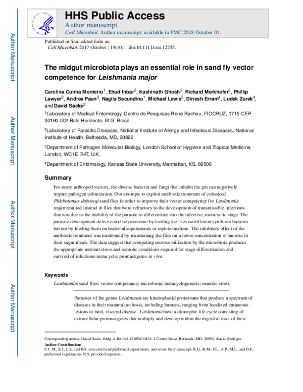 (PDF) The midgut microbiota plays an essential role in sand fly vector ...