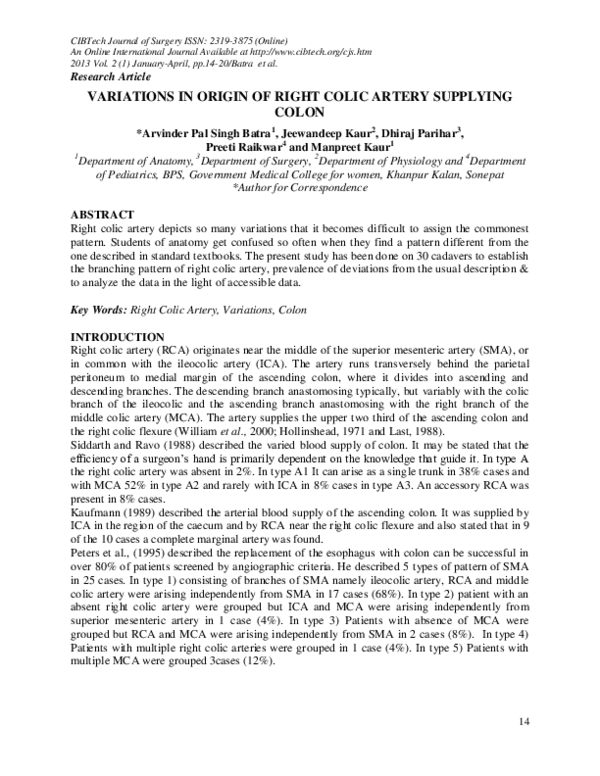 (PDF) Variations in Origin of Right Colic Artery Supplying Colon